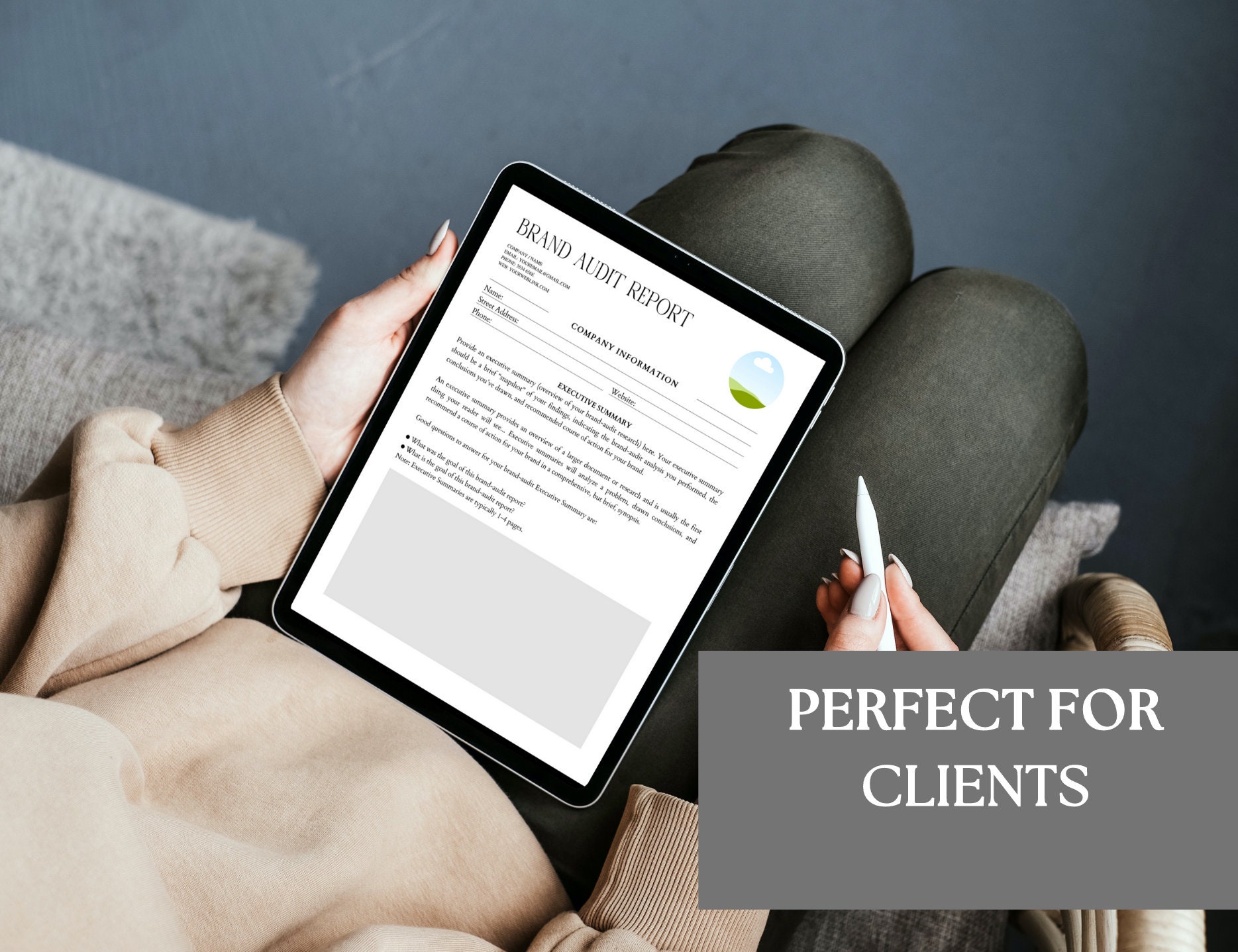 Editable and Printable Brand Audit Report Bundle Form Template, Brand ...