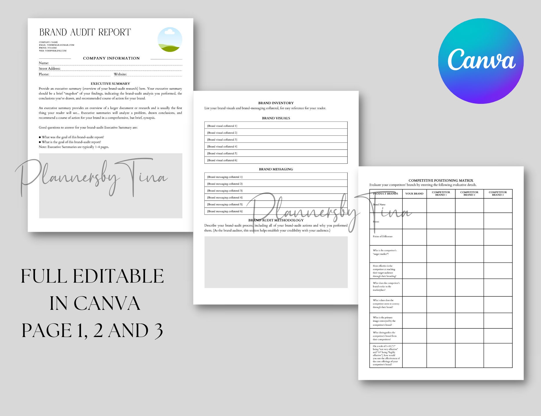Editable and Printable Brand Audit Report Bundle Form Template, Brand ...