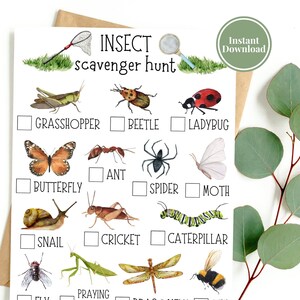 Bug Scavenger Hunt Printable Scavenger Hunt Nature - Etsy