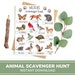 Bug Scavenger Hunt Printable Scavenger Hunt Nature Scavenger Hunt Kids ...