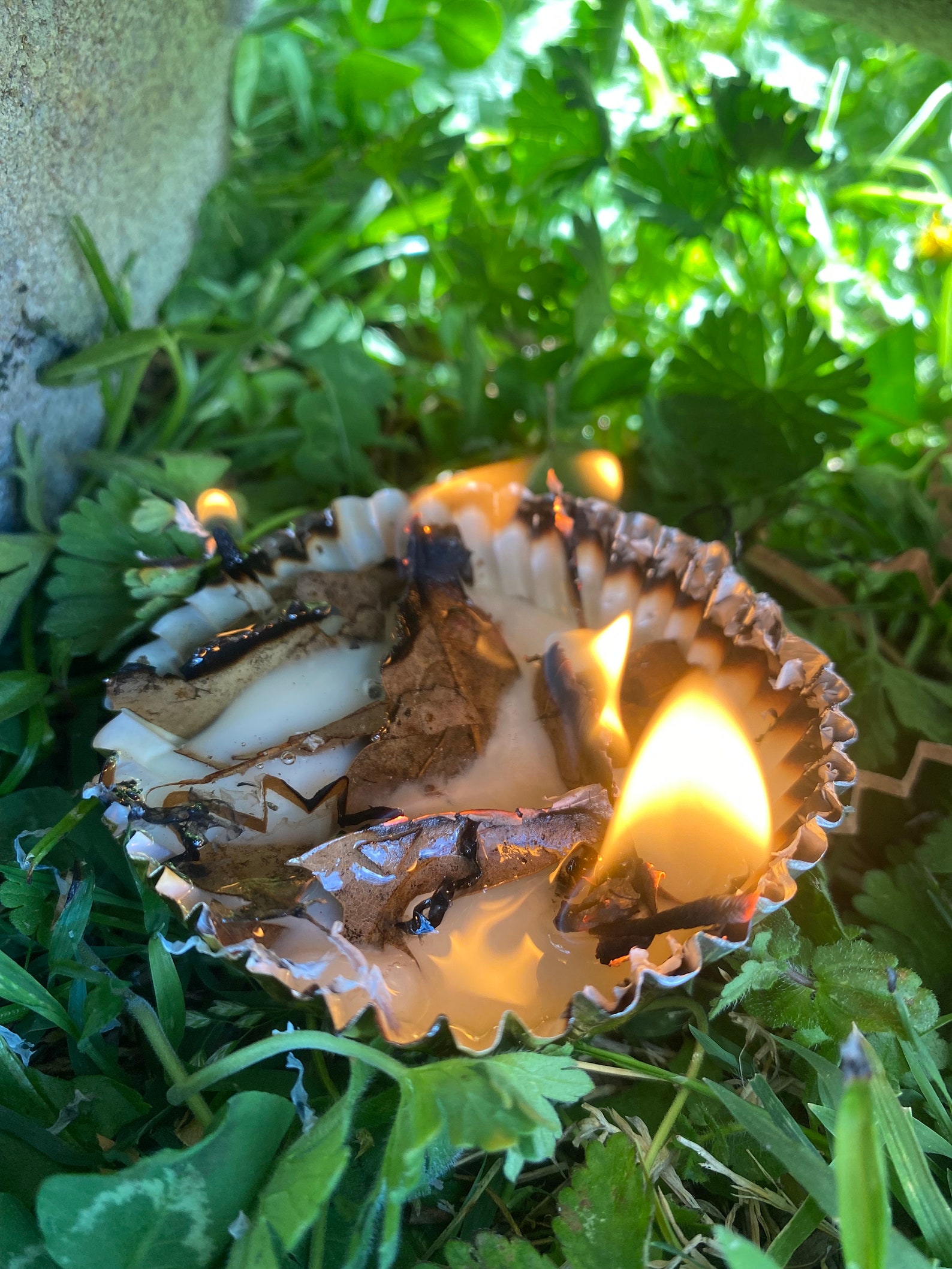 Fire Starter Pack Soy Wax Fire Starters Bonfire Supplies Camping
