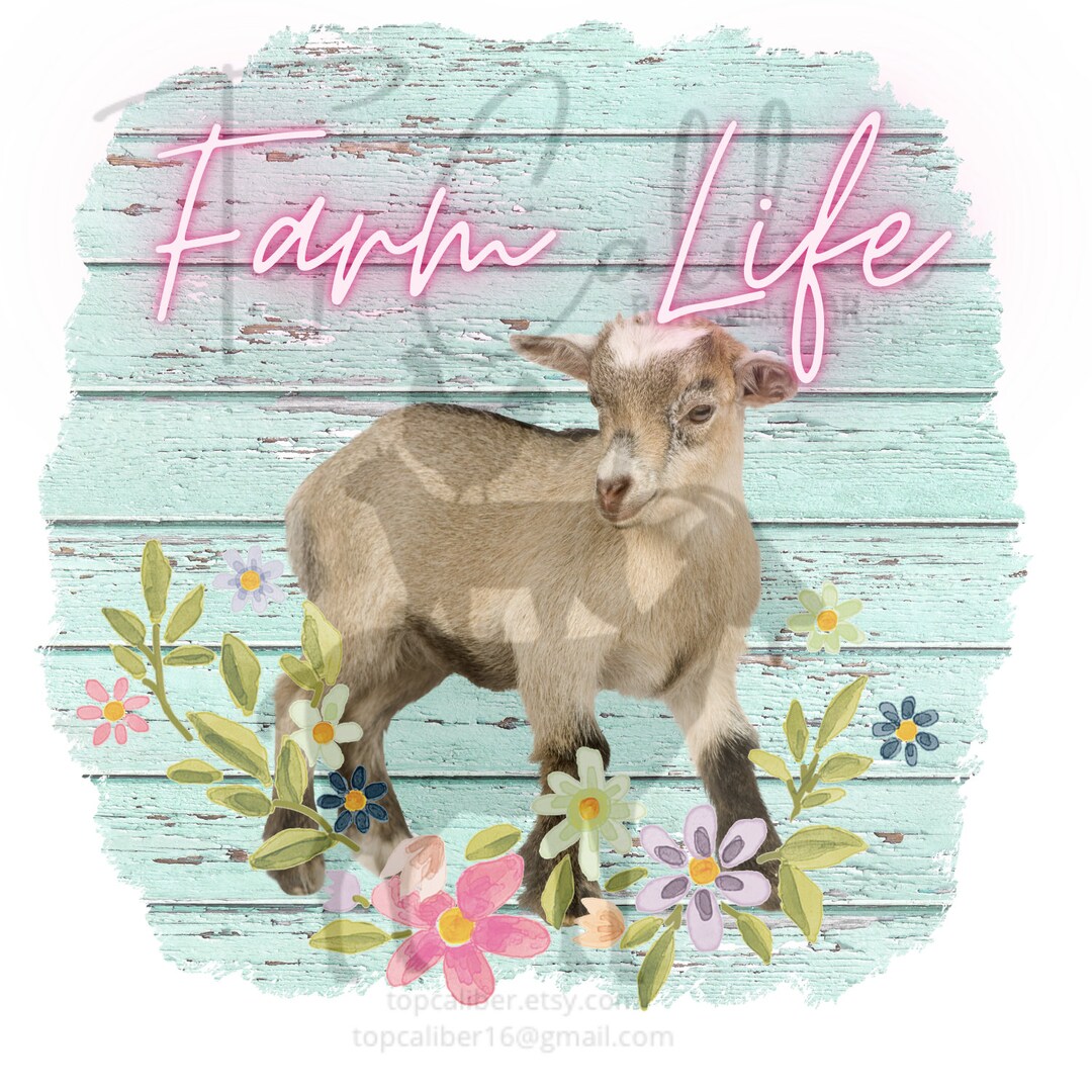 Farm Life Sublimation PNG Baby Goat - Etsy