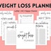 Weight Loss Tracker, 100 Lbs, Weightloss Journal, 100 Pound Lost ...