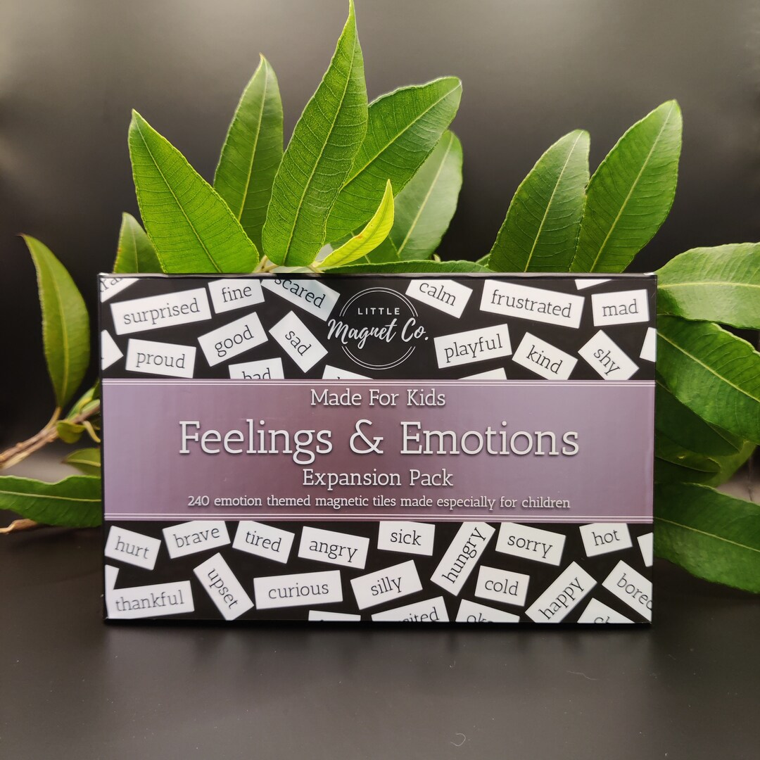 Kids Poetry Magnets: the Feelings & Emotions Expansion Pack—spark ...