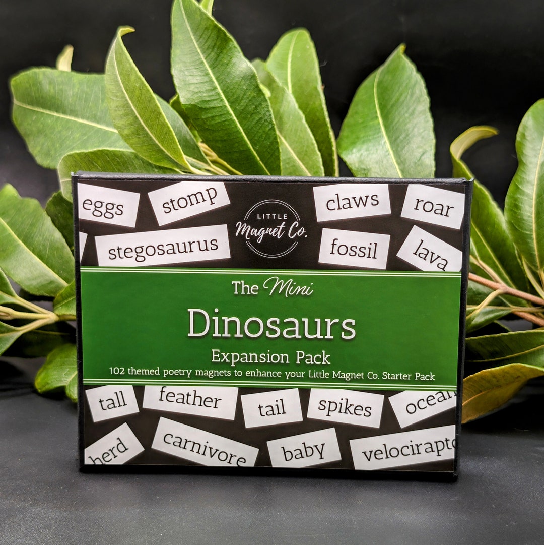Poetry Magnets: the Mini Dinosaurs Expansion Pack—unleash a Prehistoric ...