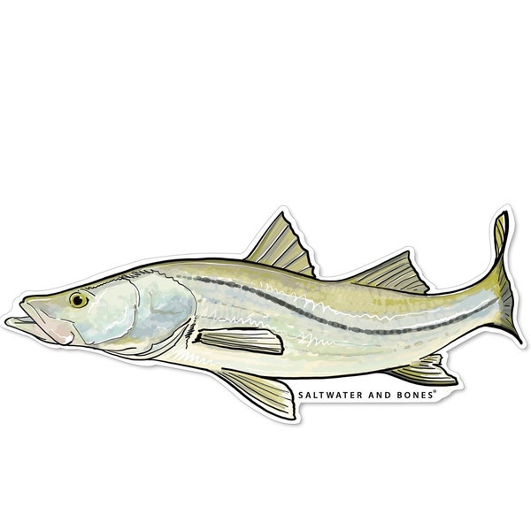 Snook - Etsy