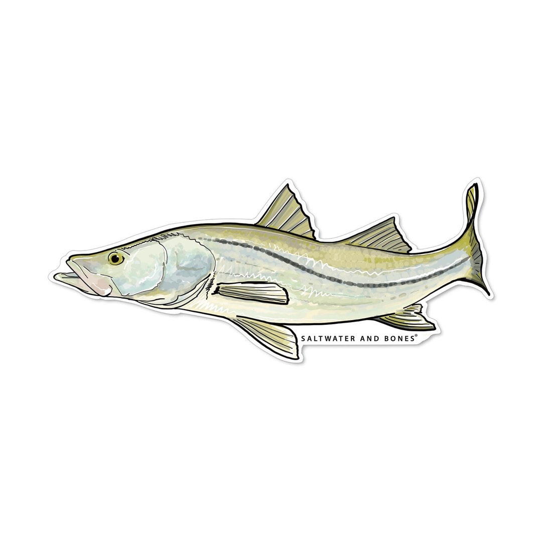SNOOK Sticker, 6 Inch - Etsy
