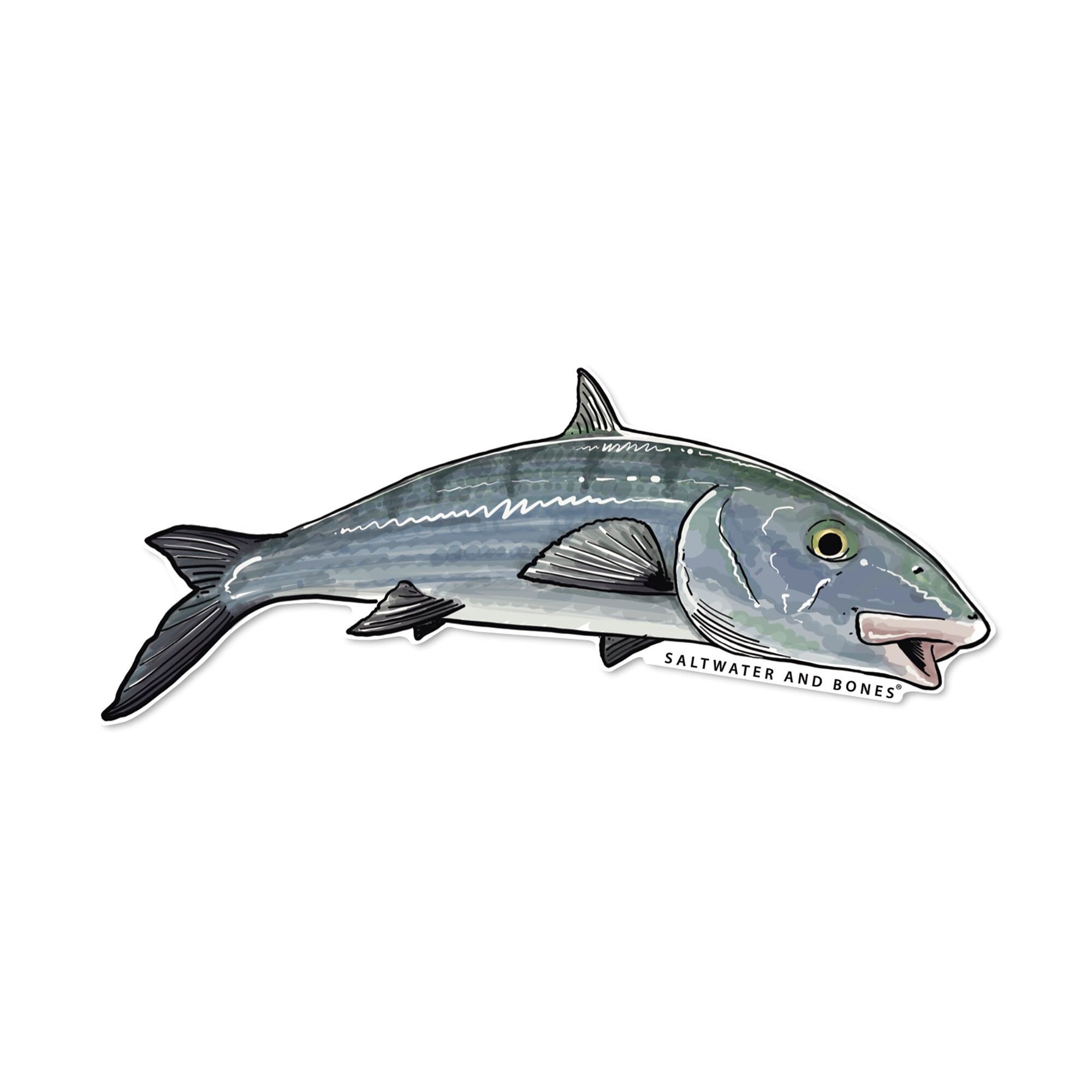 BONEFISH Sticker, 6 Inch - Etsy