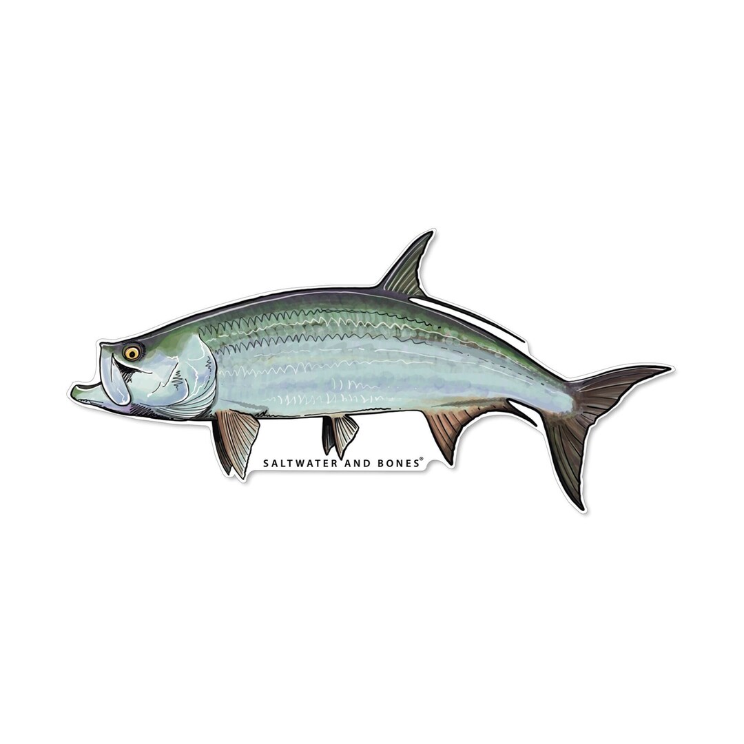 TARPON Sticker, 6 Inch - Etsy