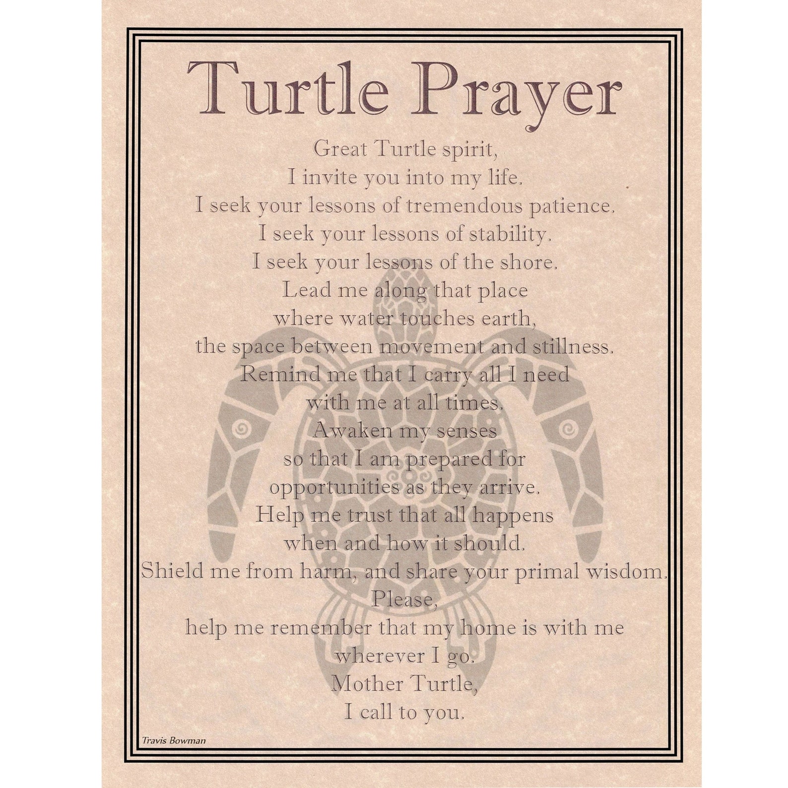Turtle Prayer Poster - Etsy