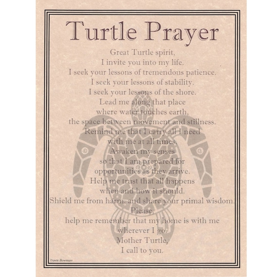 Turtle Prayer Poster - Etsy