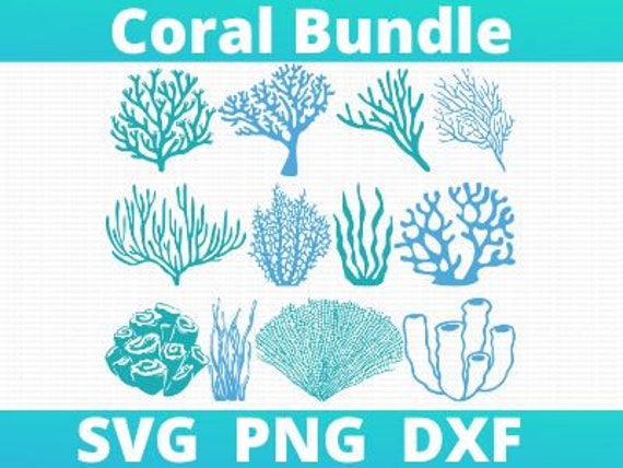 Coral Reef SVG Bundle. Ocean Svg. Beach Svg. Marine. Nautical. - Etsy ...