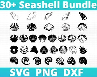 Seashell Dxf File - Etsy