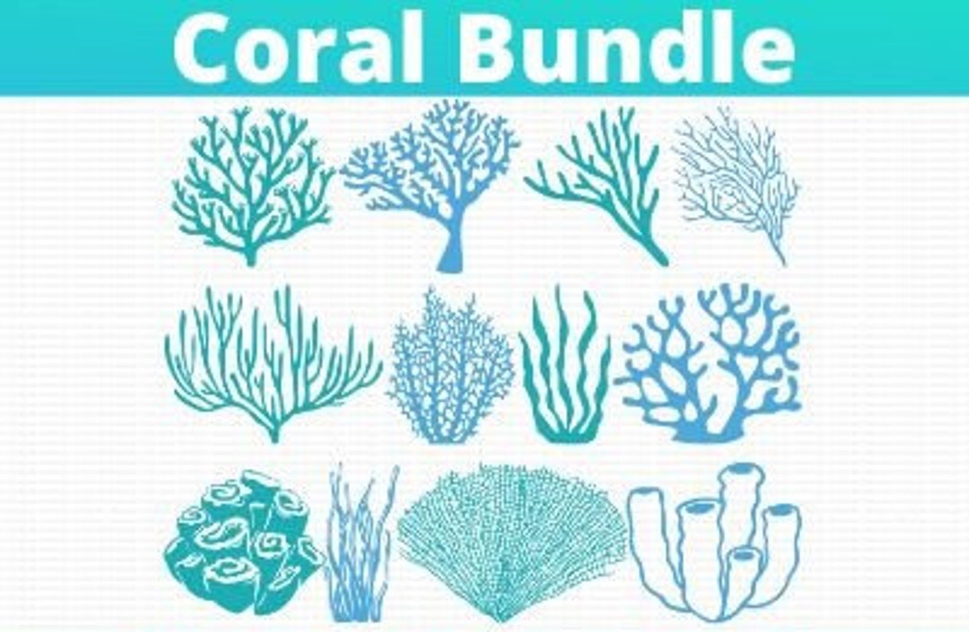 Coral Reef SVG Bundle. Ocean Svg. Beach Svg. Marine. Nautical. Clipart ...