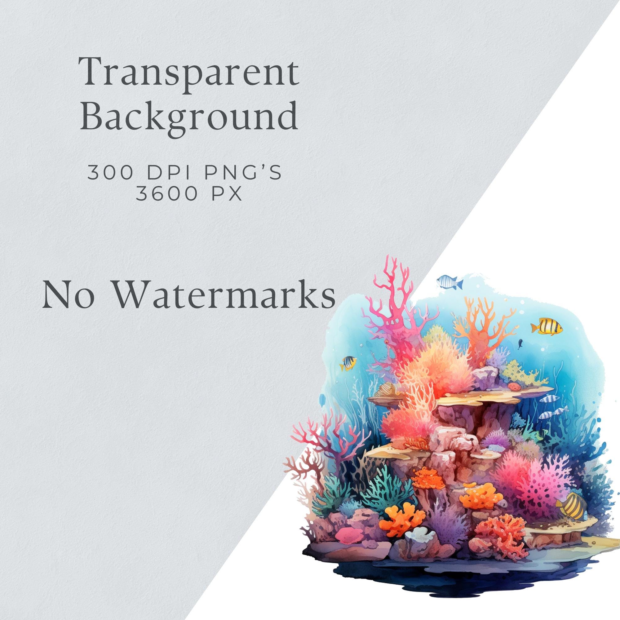 Watercolor Coral Reef Clipart, Colorful Sealife, Deep Ocean PNG ...