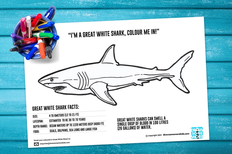 Printable Great White Shark Coloring A4 Sheet for Kids / Educational ...