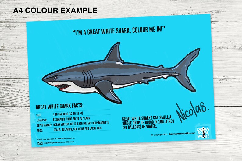 Printable Great White Shark Coloring A4 Sheet for Kids / Educational ...