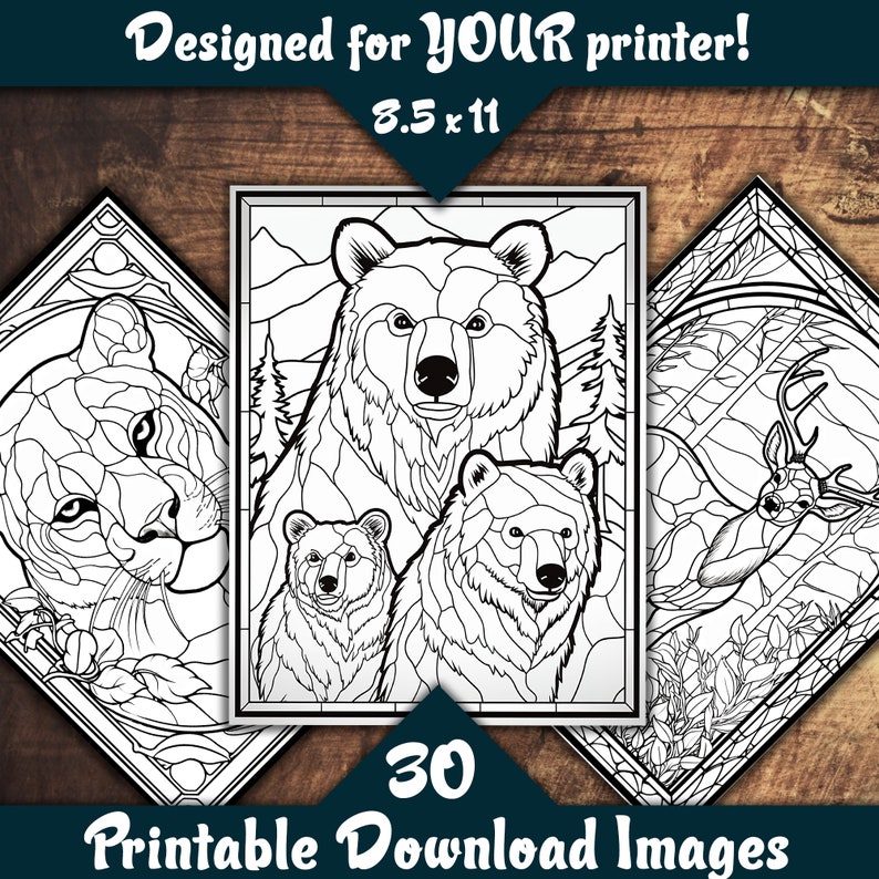 Stained Glass Animal Coloring Book: North American Wildlife (30 ...