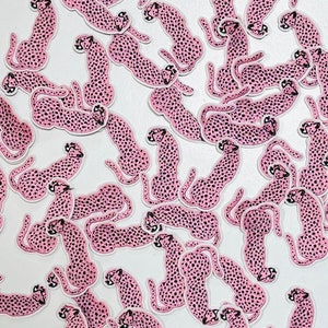 Pink Leopard Patch, Trucker Cap Patch, Iron On, DIY Patch, Preppy Patch ...