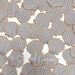 Gray Seashell Patch, Trucker Cap Patch, Iron On, DIY Patch, Shell Patch ...