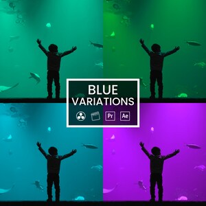 10 Blue Changes, Color Variations Luts Color Grading Videos and Photos ...