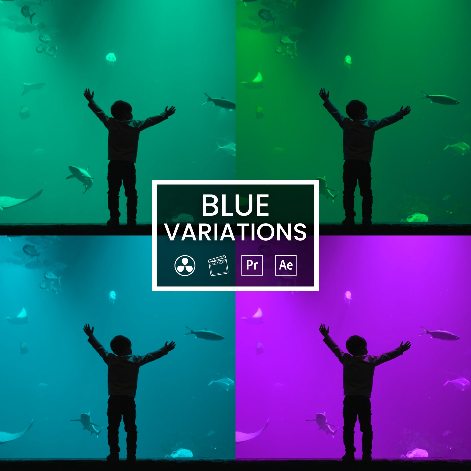 10 Blue Changes, Color Variations Luts | Color Grading | Videos and ...