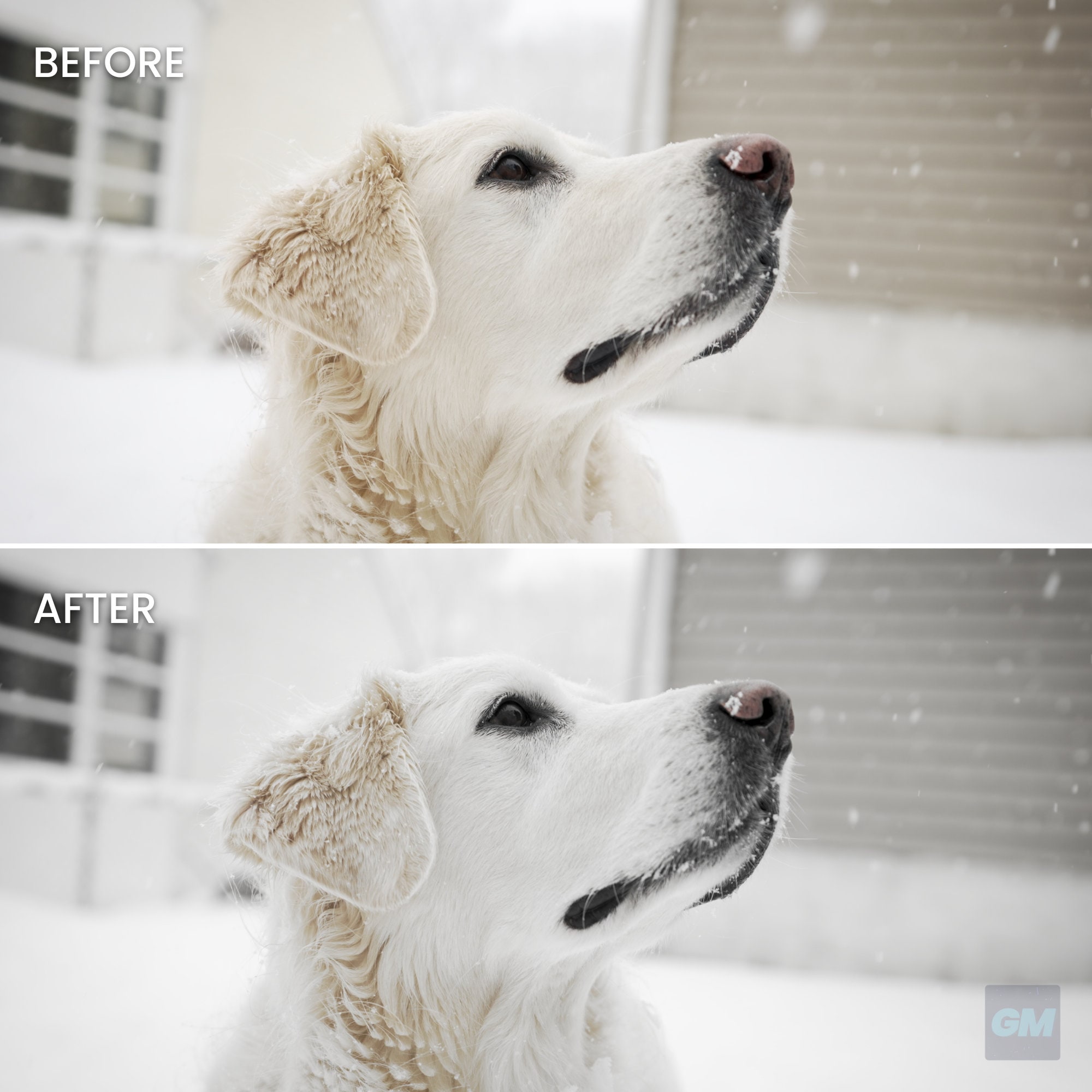 8 Perfect White Luts | Color Grading | Video and Photo | Mobile Desktop ...