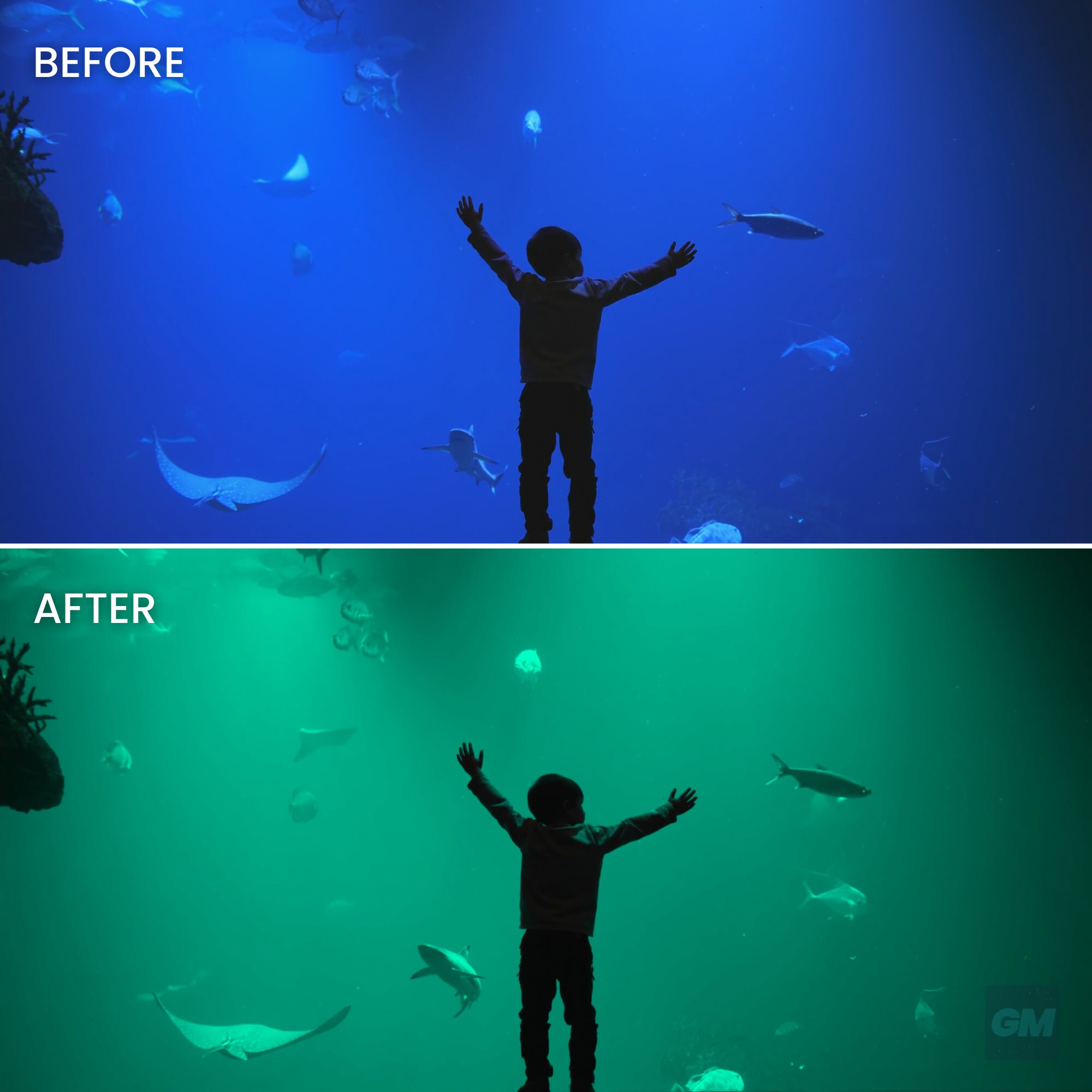 10 Blue Changes, Color Variations Luts | Color Grading | Videos and ...