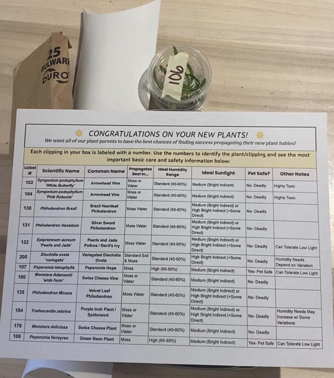 Mystery Plant Clippings-optional Moss Propagation Kit Rare Plants ...