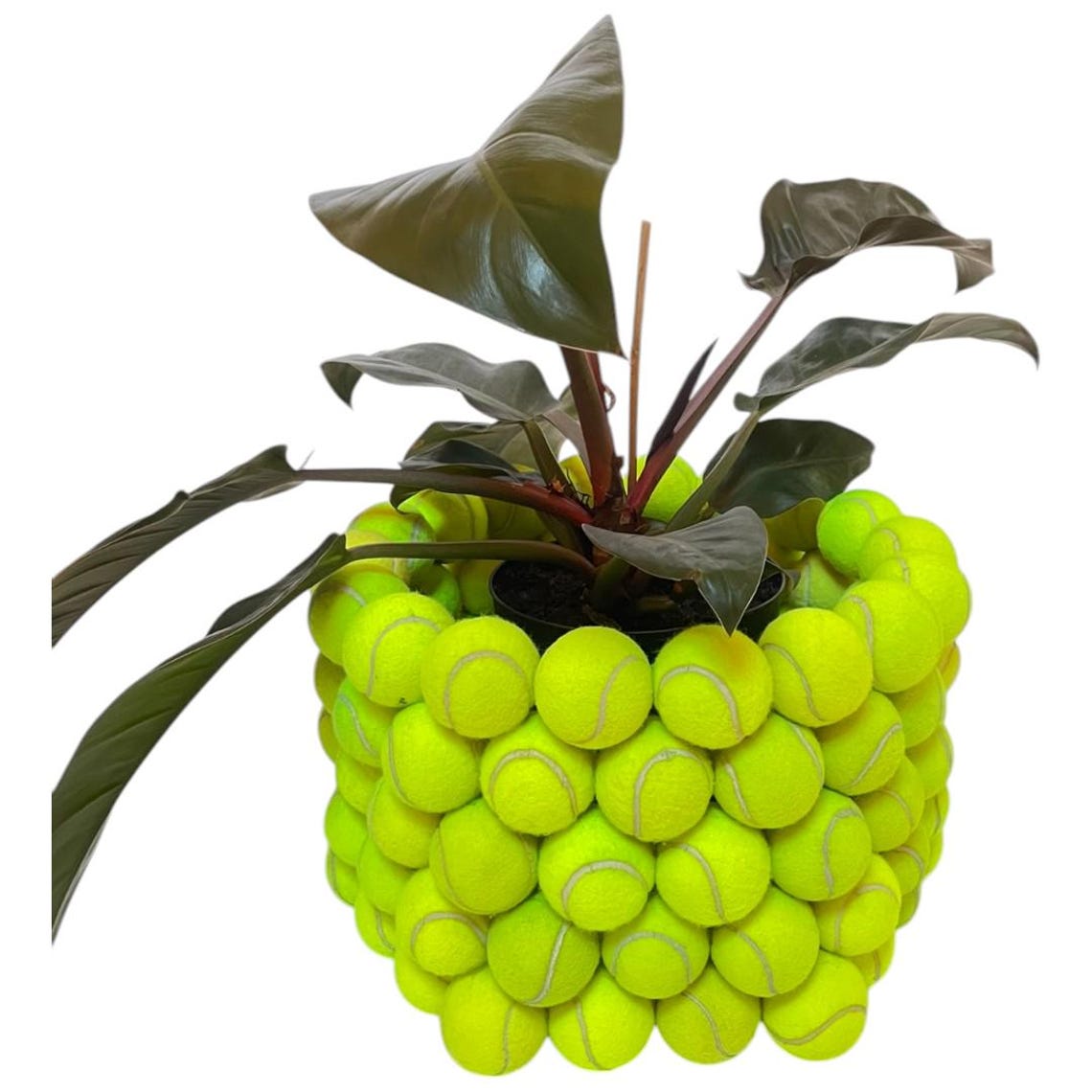 Tennis Ball Storage Bucket and Planter: One of a Kind Modern Tennis ...