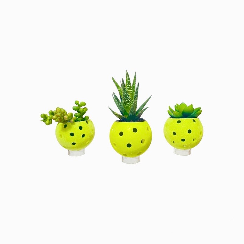 Pickleball Gift - 60+ Gift Ideas for 2024