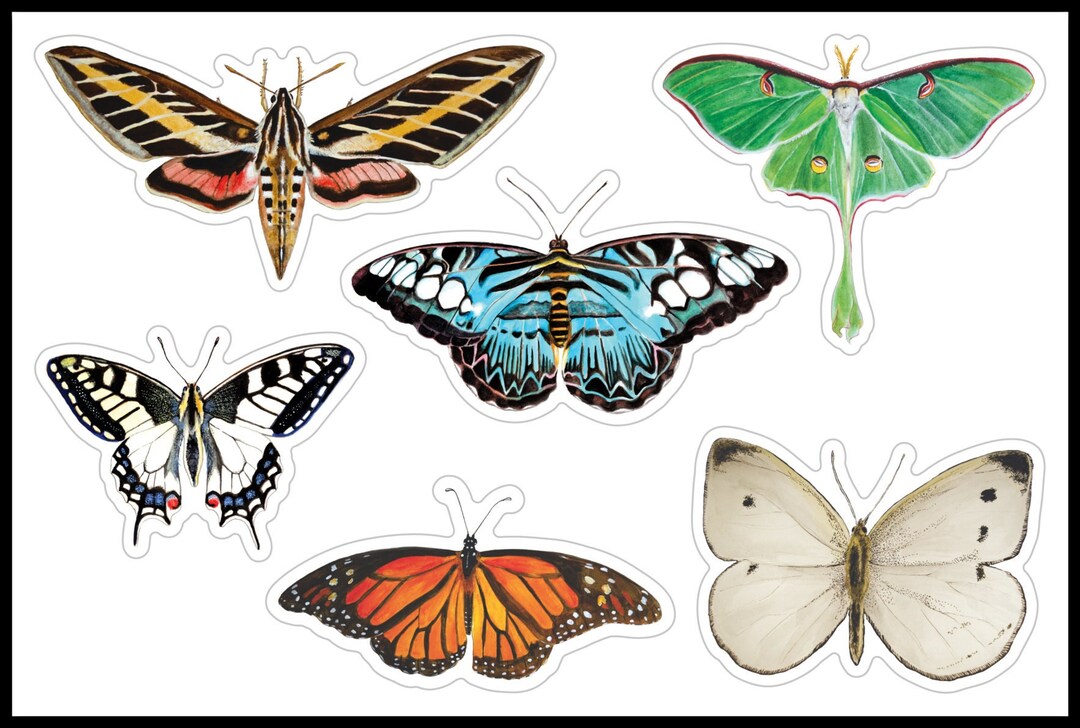 Butterfly and Moth Sticker Sheet: Sphinx Moth, Blue Clipper, Luna Moth, Swallowtail, Monarch ...
