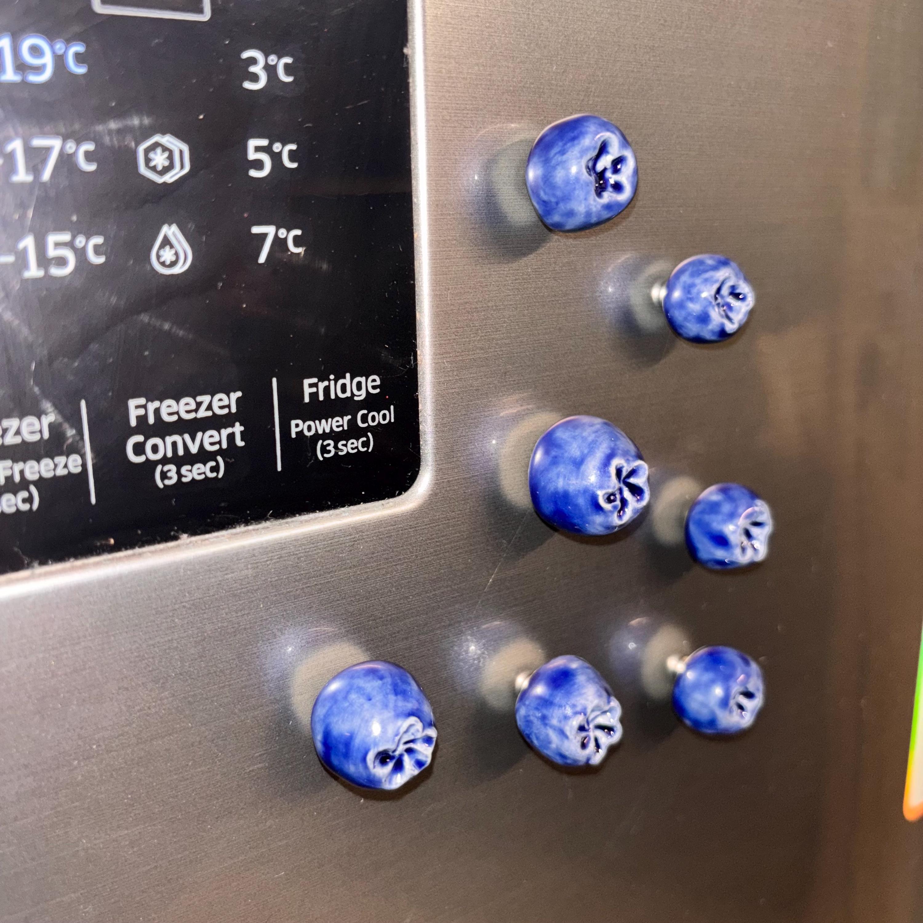 Ceramic Blueberry Fridge Magnet - Pack of 5 ( Approx 1. 2 - 1.5 Cm) - Etsy