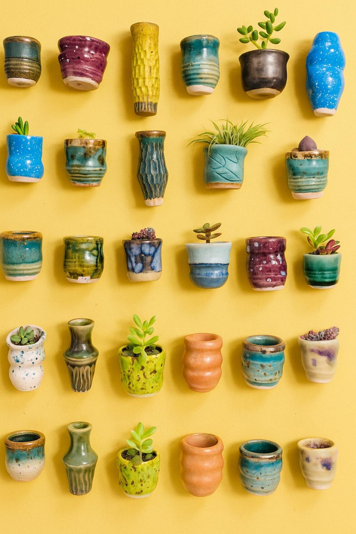 Mystery Small Ceramic Succulent Pot Fridge Magnet , Mini Pot Flower ...