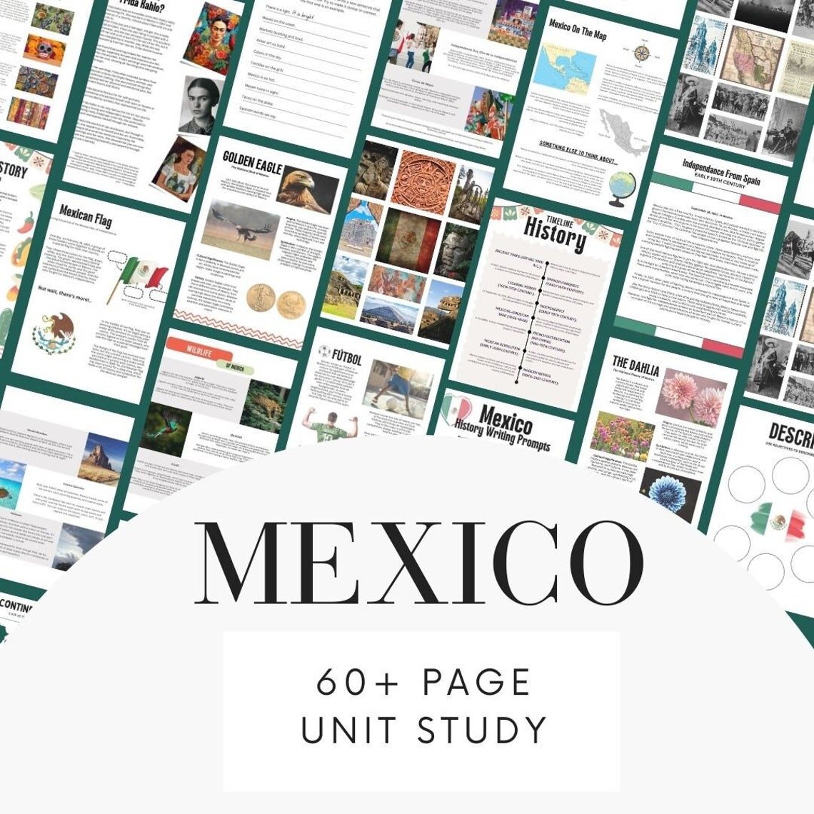 Mexico Unit Study for Elementary Students (digital PDF Download) - Etsy
