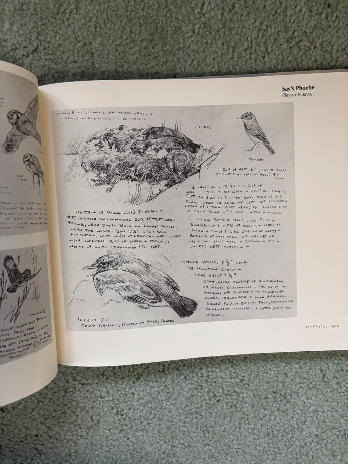 William D. Berry 1954-1956 Alaskan Field Sketches, Hard Cover Book With ...