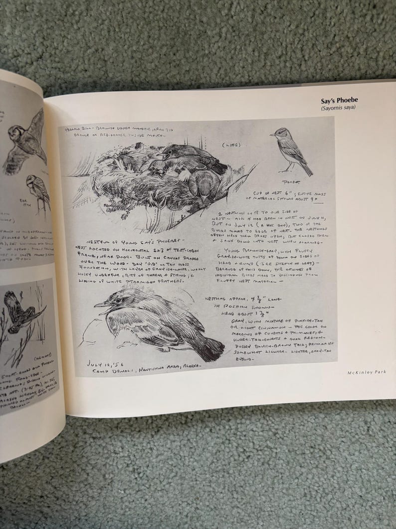 William D. Berry 1954-1956 Alaskan Field Sketches, Hard Cover Book With ...