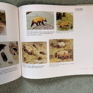 William D. Berry 1954-1956 Alaskan Field Sketches, Hard Cover Book With ...