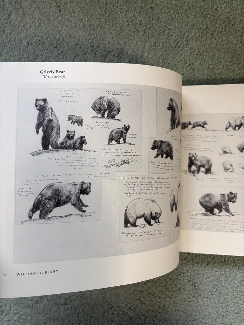 William D. Berry 1954-1956 Alaskan Field Sketches, Hard Cover Book With ...
