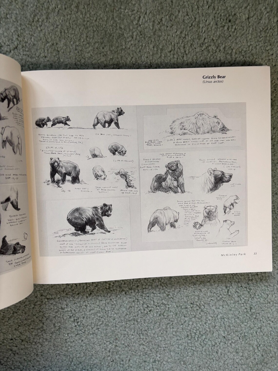 William D. Berry 1954-1956 Alaskan Field Sketches, Hard Cover Book With ...