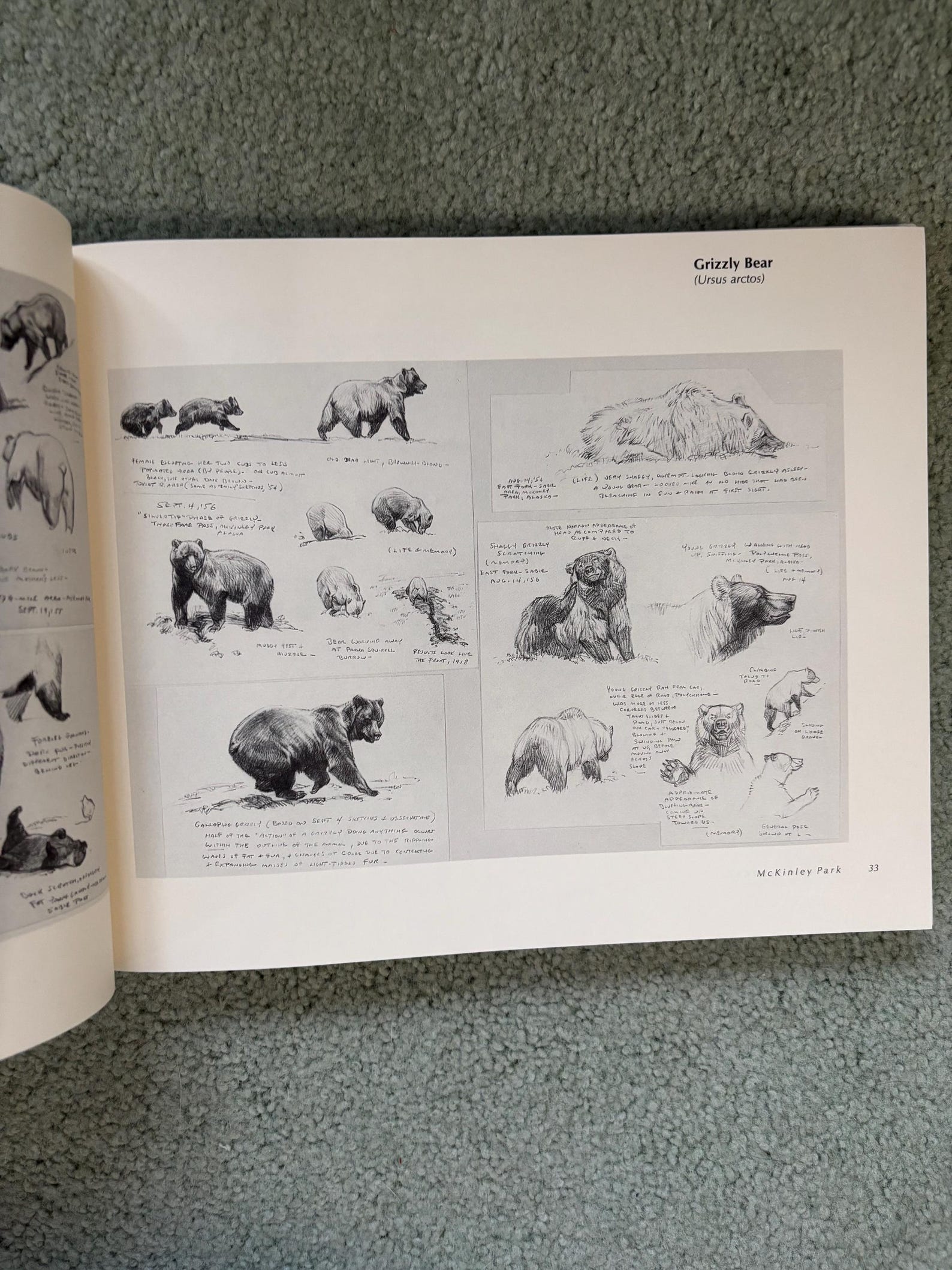 William D. Berry 1954-1956 Alaskan Field Sketches, Hard Cover Book With ...