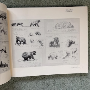 William D. Berry 1954-1956 Alaskan Field Sketches, Hard Cover Book With ...