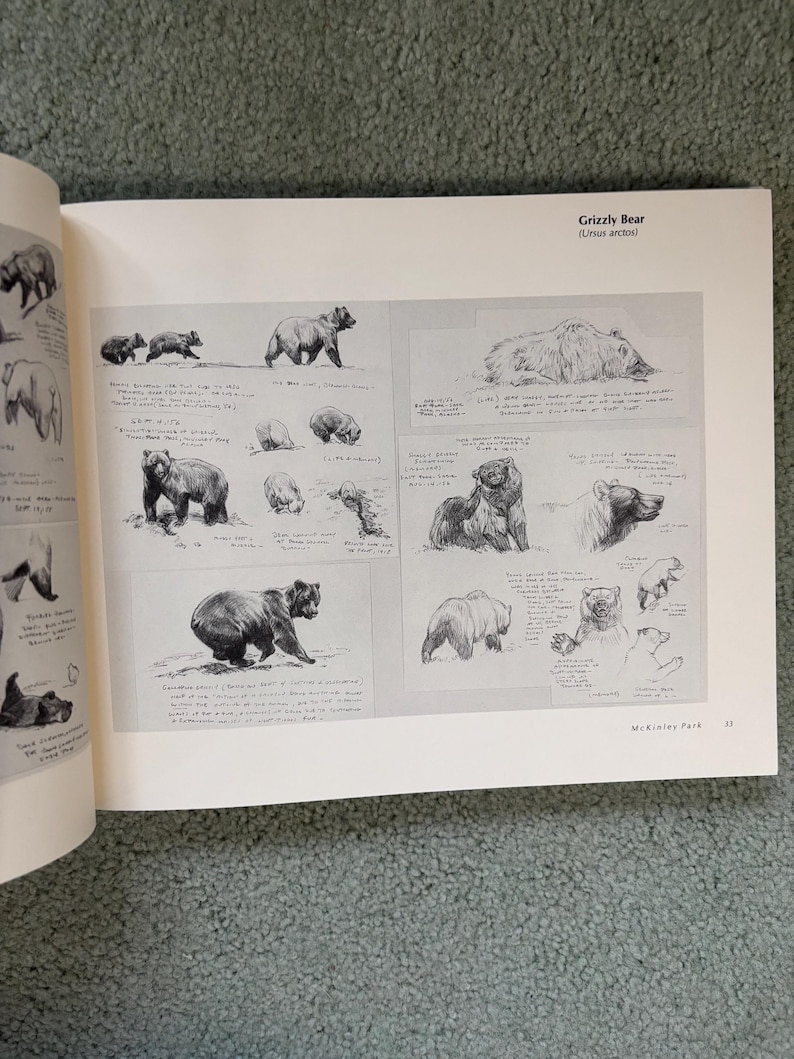 William D. Berry 1954-1956 Alaskan Field Sketches, Hard Cover Book With ...