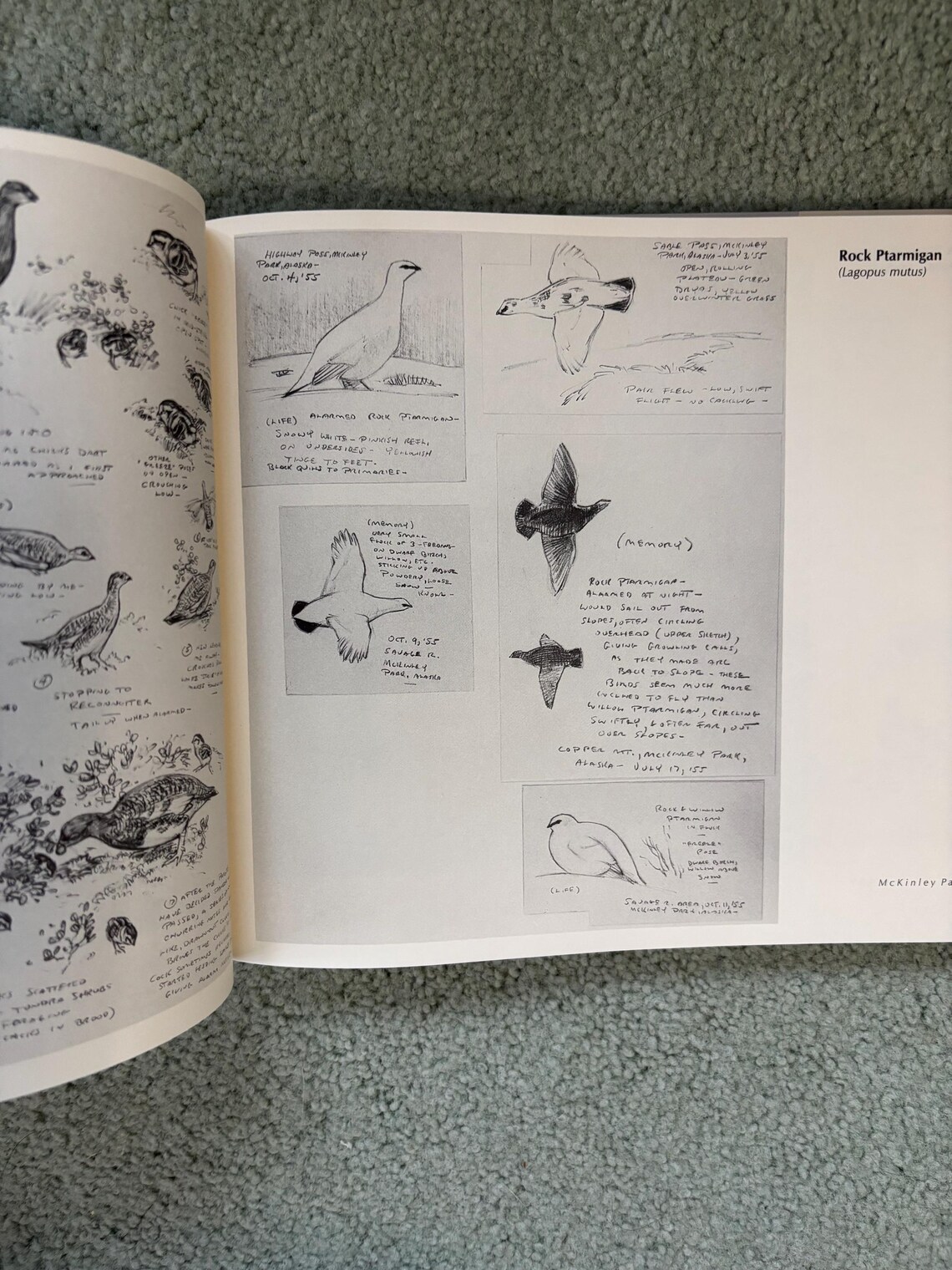 William D. Berry 1954-1956 Alaskan Field Sketches, Hard Cover Book With ...