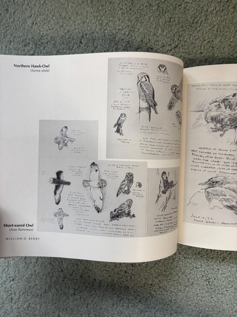 William D. Berry 1954-1956 Alaskan Field Sketches, Hard Cover Book With ...