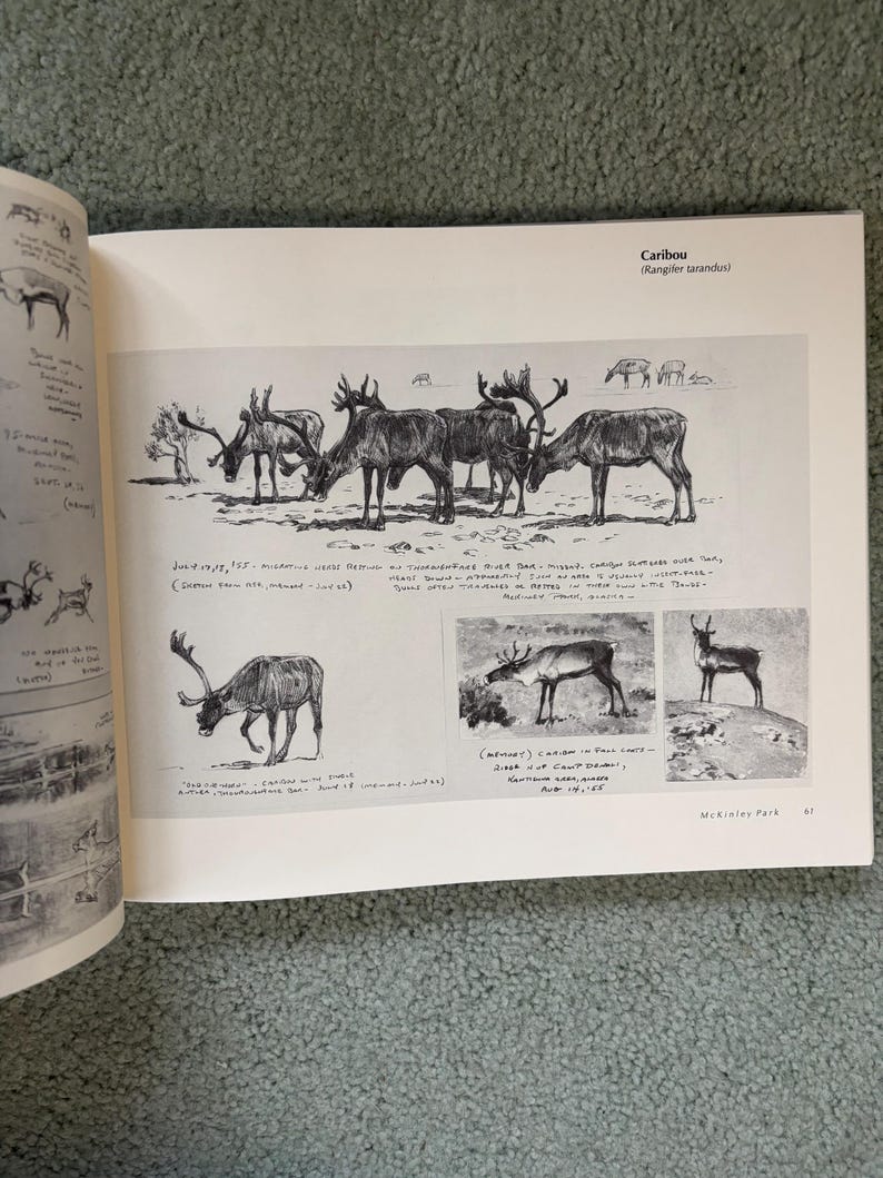 William D. Berry 1954-1956 Alaskan Field Sketches, Hard Cover Book With ...