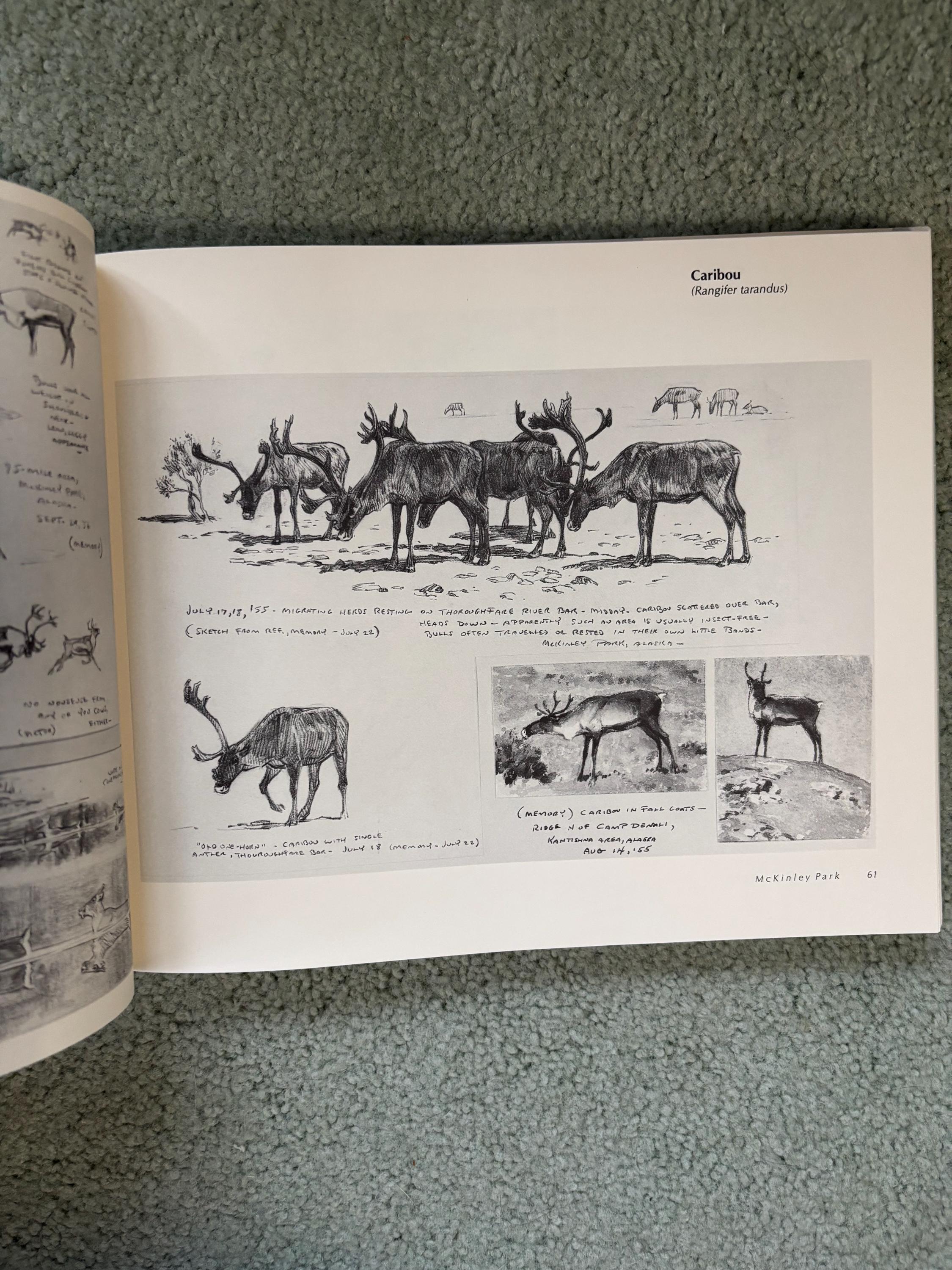 William D. Berry 1954-1956 Alaskan Field Sketches, Hard Cover Book With ...