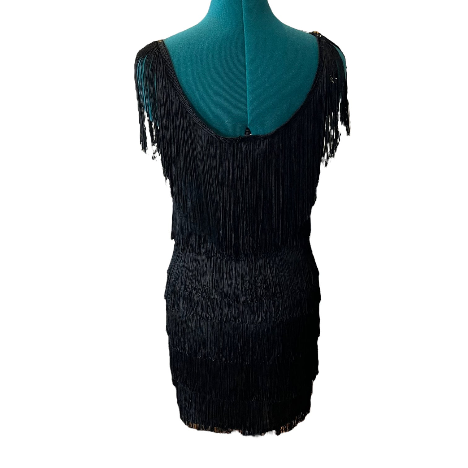 Vintage California Costume Collections Black Fringed Flapper Dress ...