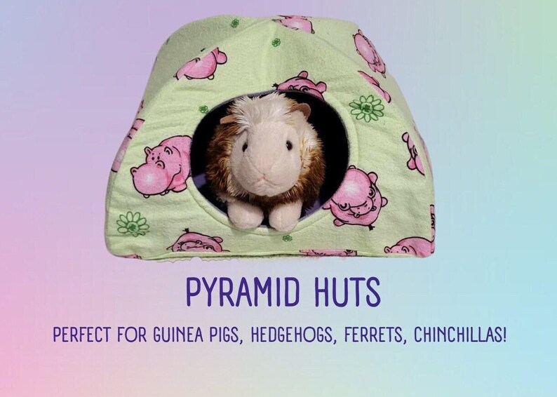Pyramid Hut for Guinea Pigs and Other Small Pets Comfy House , Bed ...