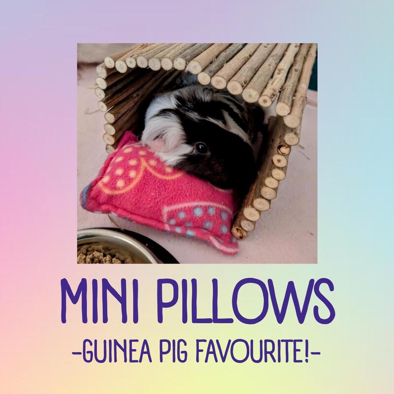 Mini Pig Supplies - Etsy